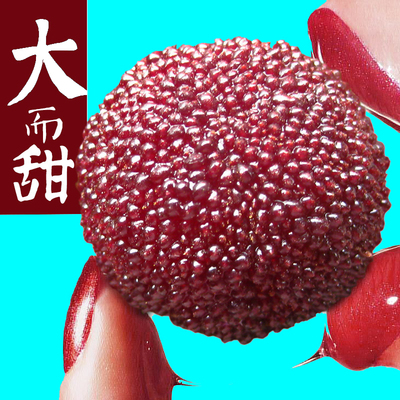浙江的水果特产是什么